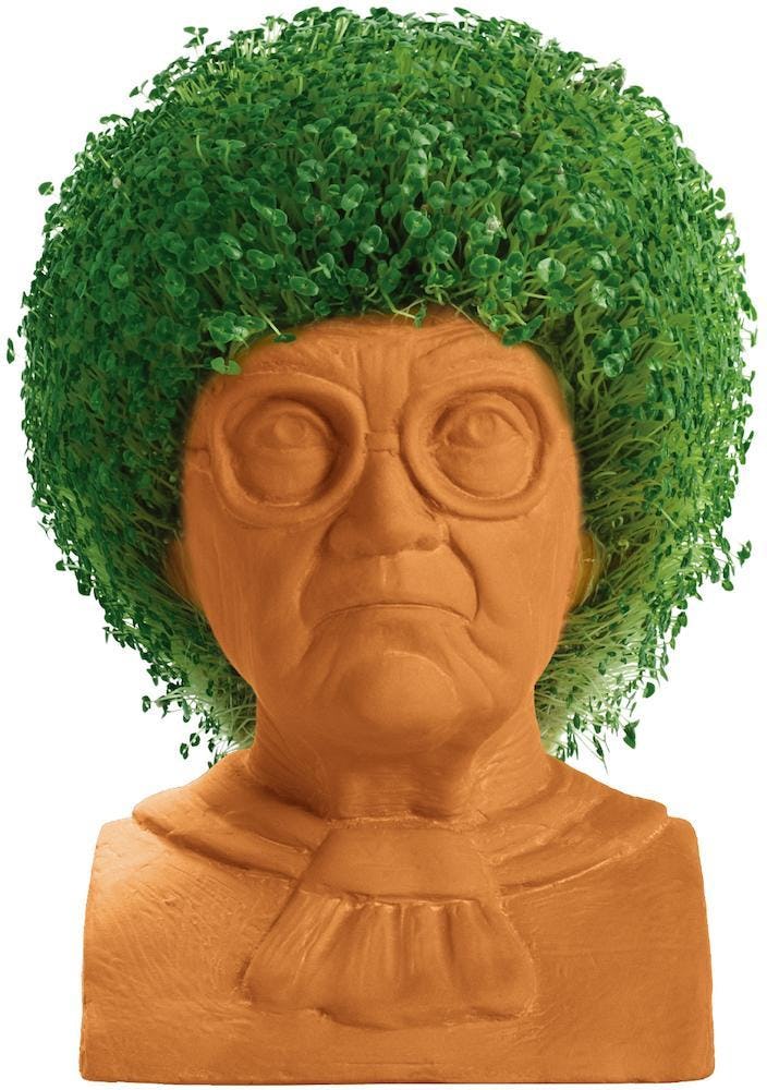 These 'Golden Girls' Chia Pets Will Make Your Room Iconic