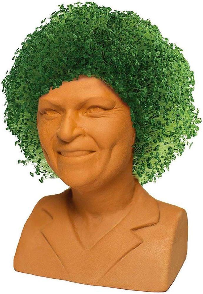 These 'Golden Girls' Chia Pets Will Make Your Room Iconic