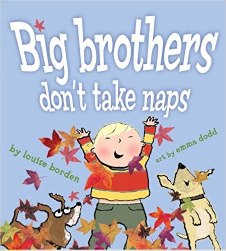 17 Children's Books About Brothers That Celebrate All Those Silly ...
