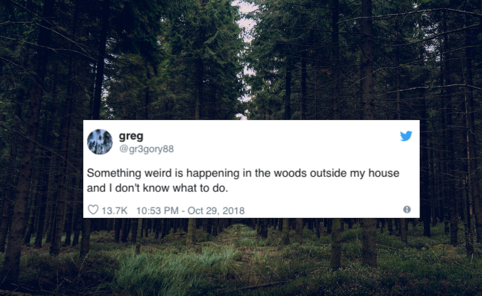 7 Twitter Horror Stories To Read If You Followed "Dear David"