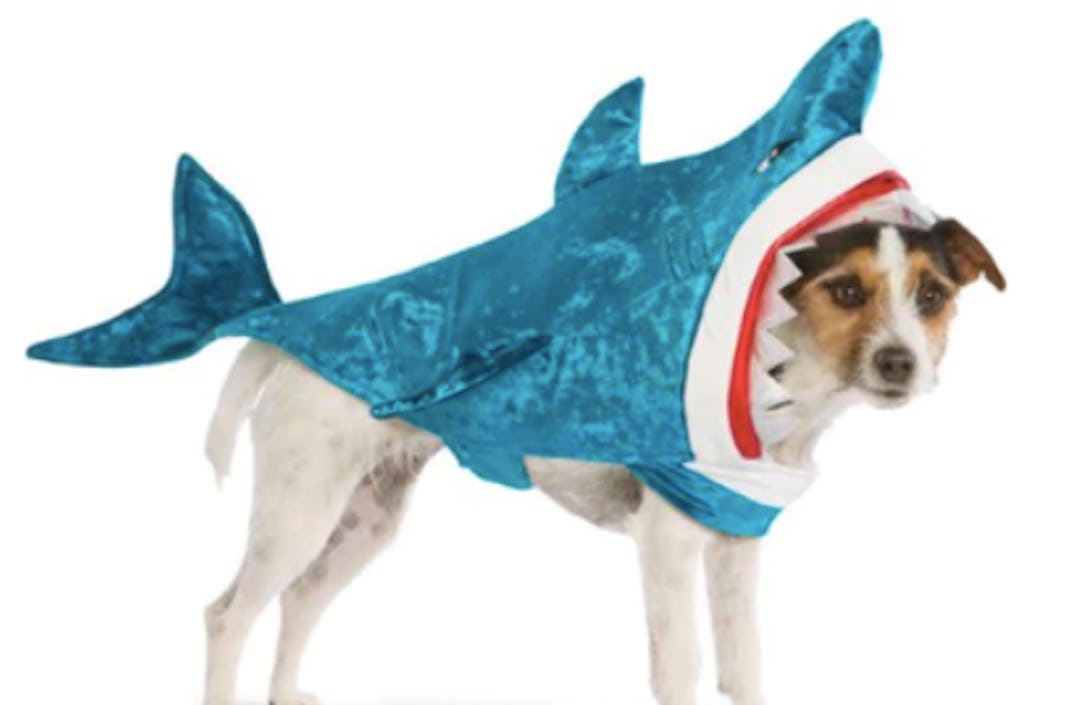 Petsmart's Dog Halloween Costume Collection Includes Everything From ...
