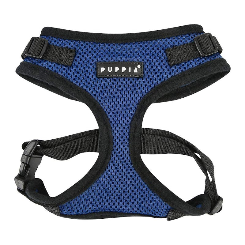 The 4 Best Cat Harnesses