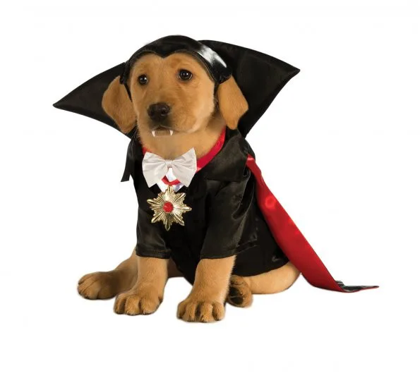 7 Scary Halloween Costumes For Dogs That Are Hilariously Adorable