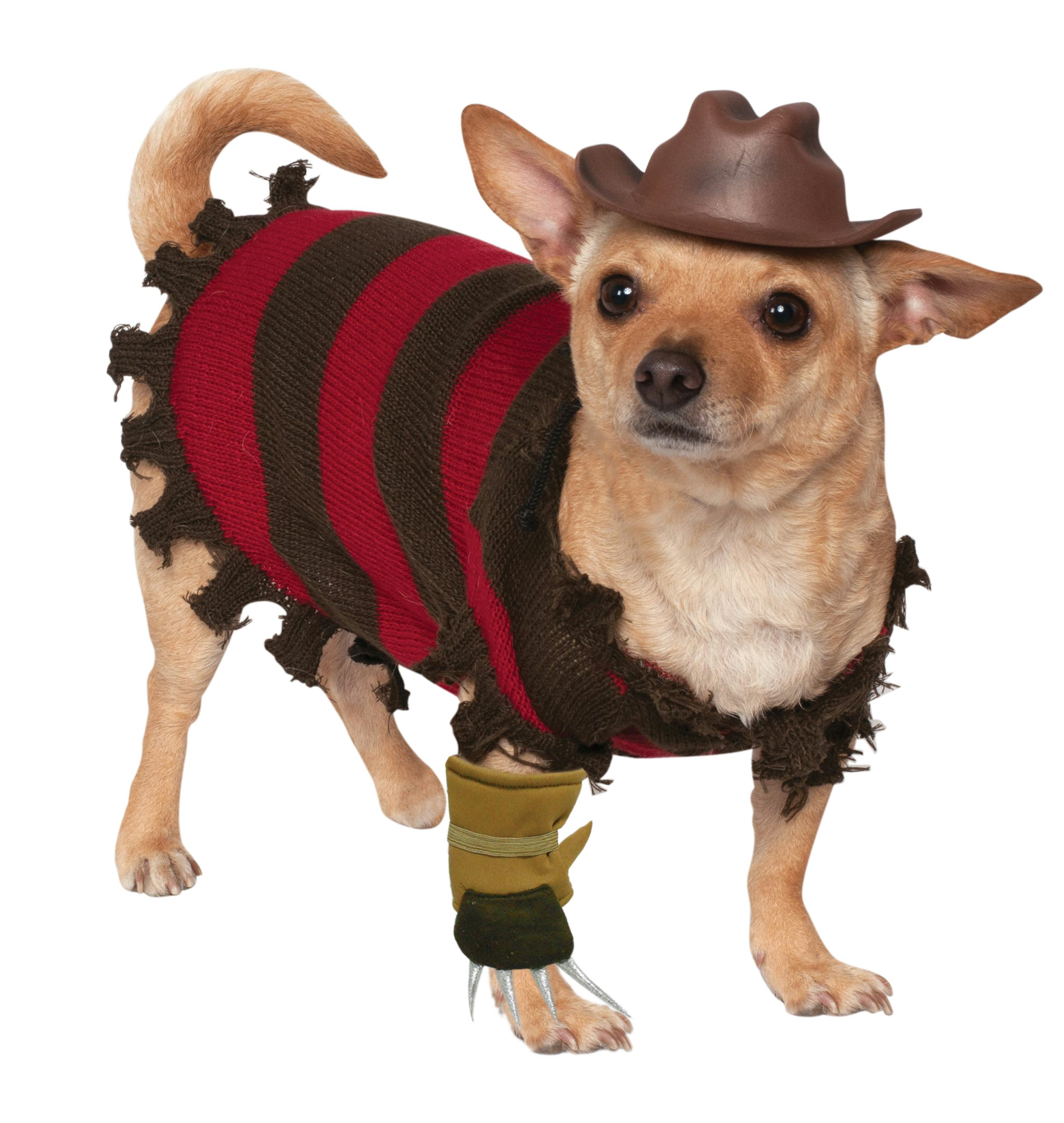 7 Scary Halloween Costumes For Dogs That Are Hilariously Adorable