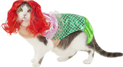 5 Disney Costumes For Your Cat That Will Be Un-Fur-Gettable