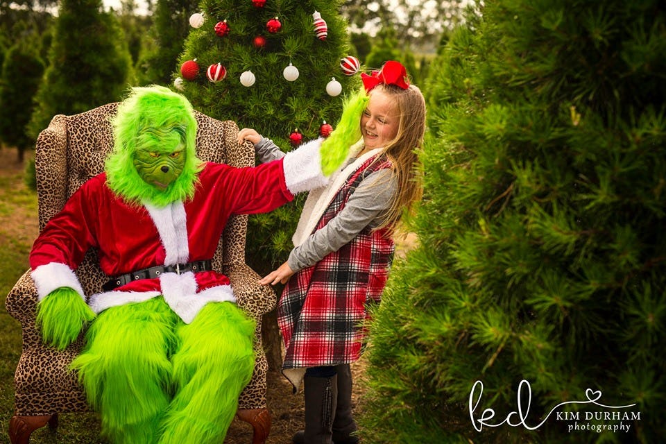 This Photographer's Grinch-Themed Photo Shoot Will Make You LOL