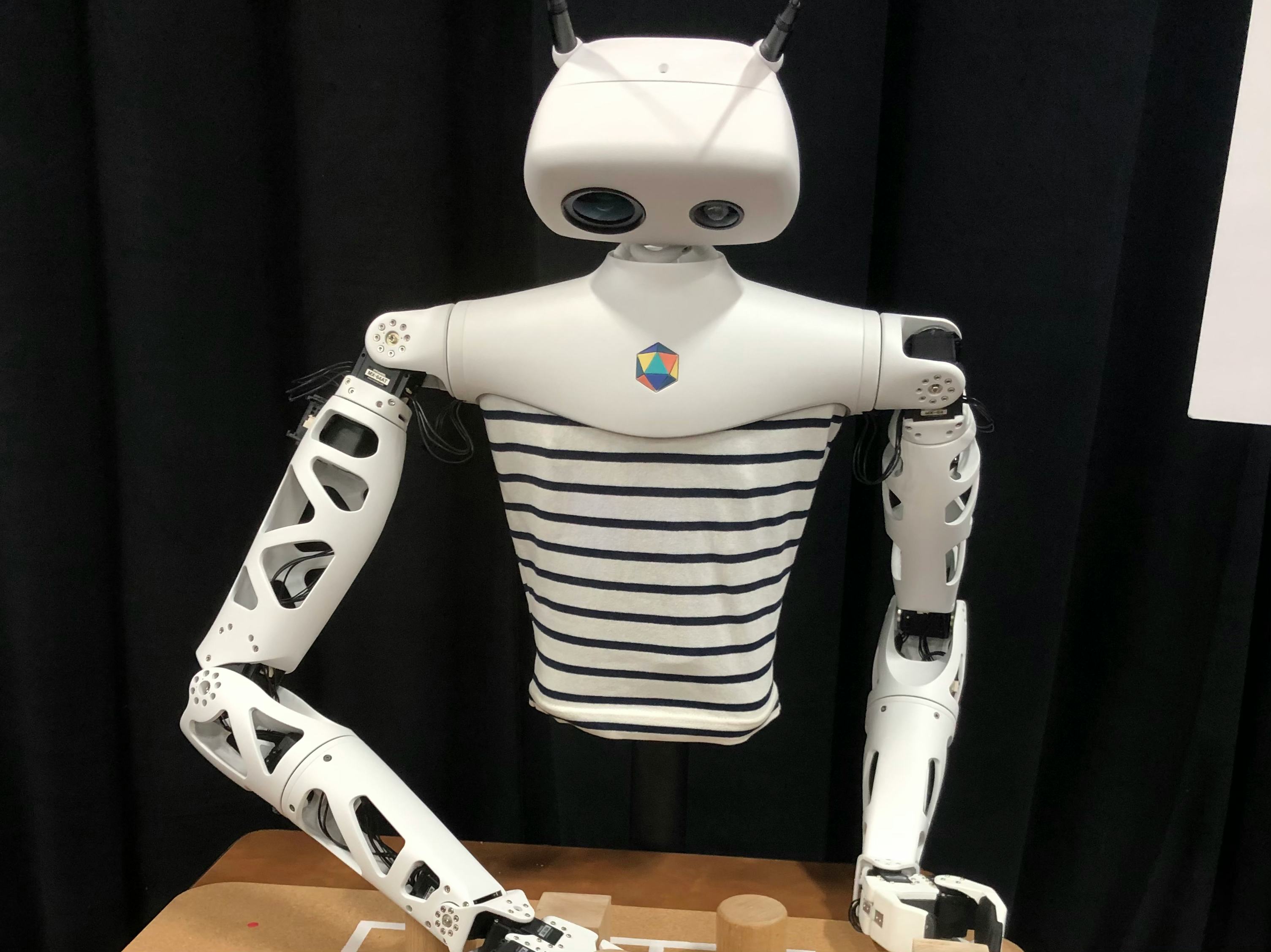 This open-source robotic torso is multi-functional (and adorable)