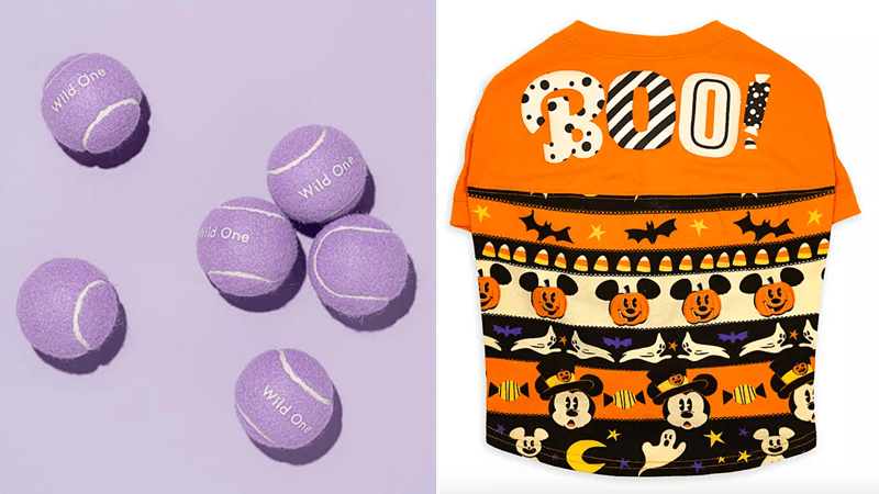 8 Dog Boo Baskets That Your Pup Will Love Furry Much