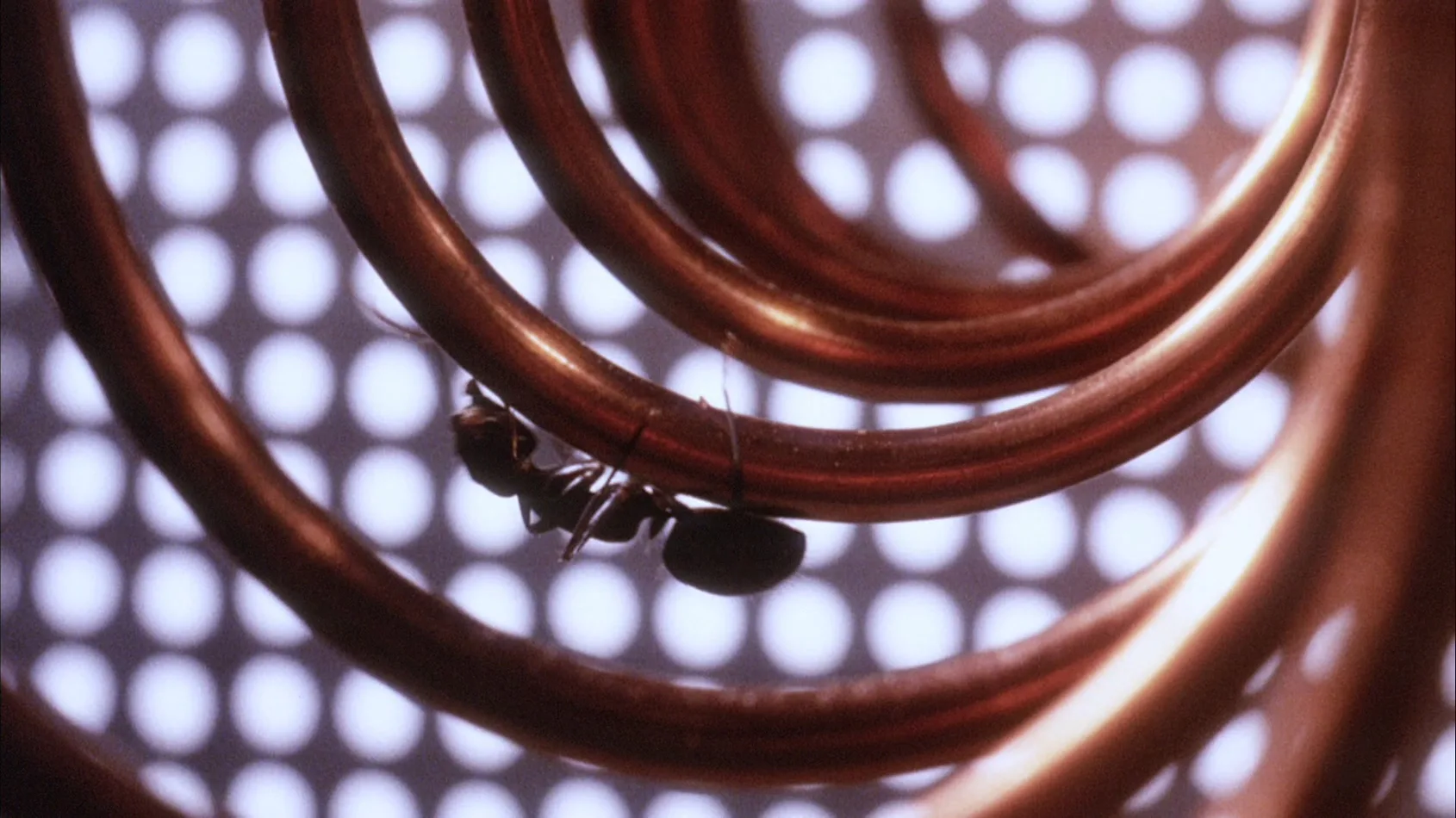 You need to watch the trippiest sci-fi movie ever before it leaves Hulu ...