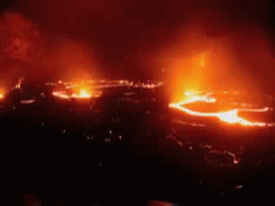 Earth’s biggest extinction event, explained