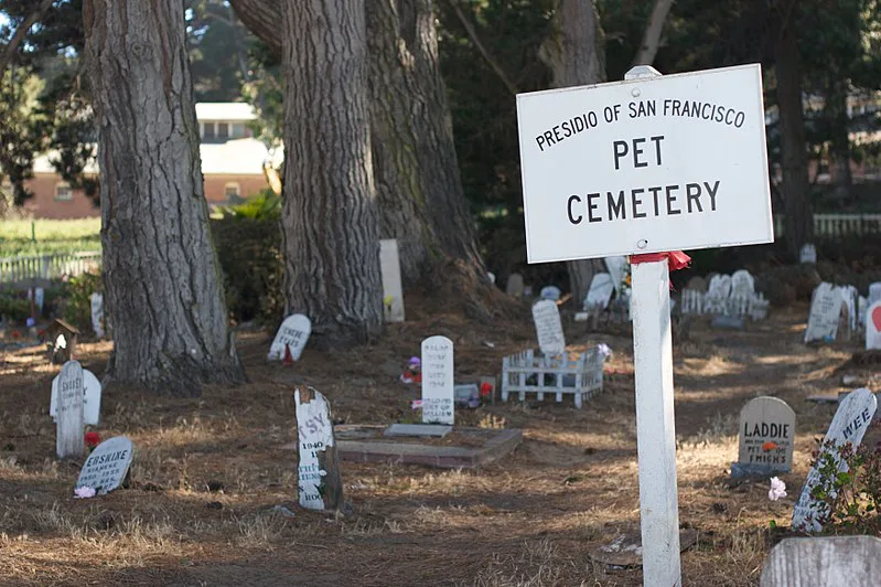 The tombstones of 1,000 pets tell a very human story