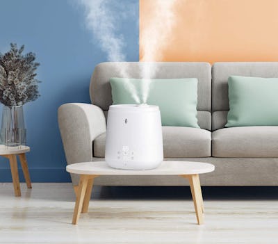 9 Stylish Humidifiers