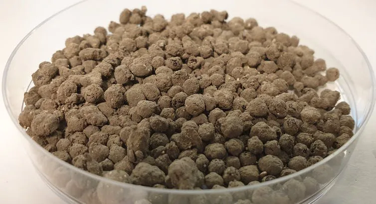 Scientists want to use your pee to save the environment
