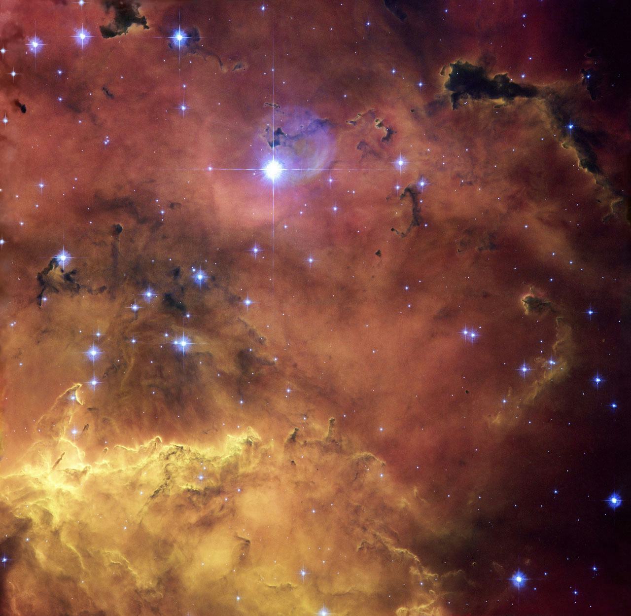 5 things you didn't know about the lives of stars
