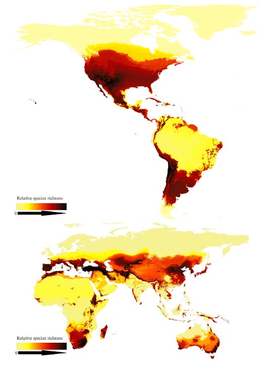 A new map reveals the secret life of bees