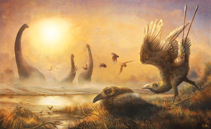 This ancient bird’s big beak breaks new ground in the fossil record