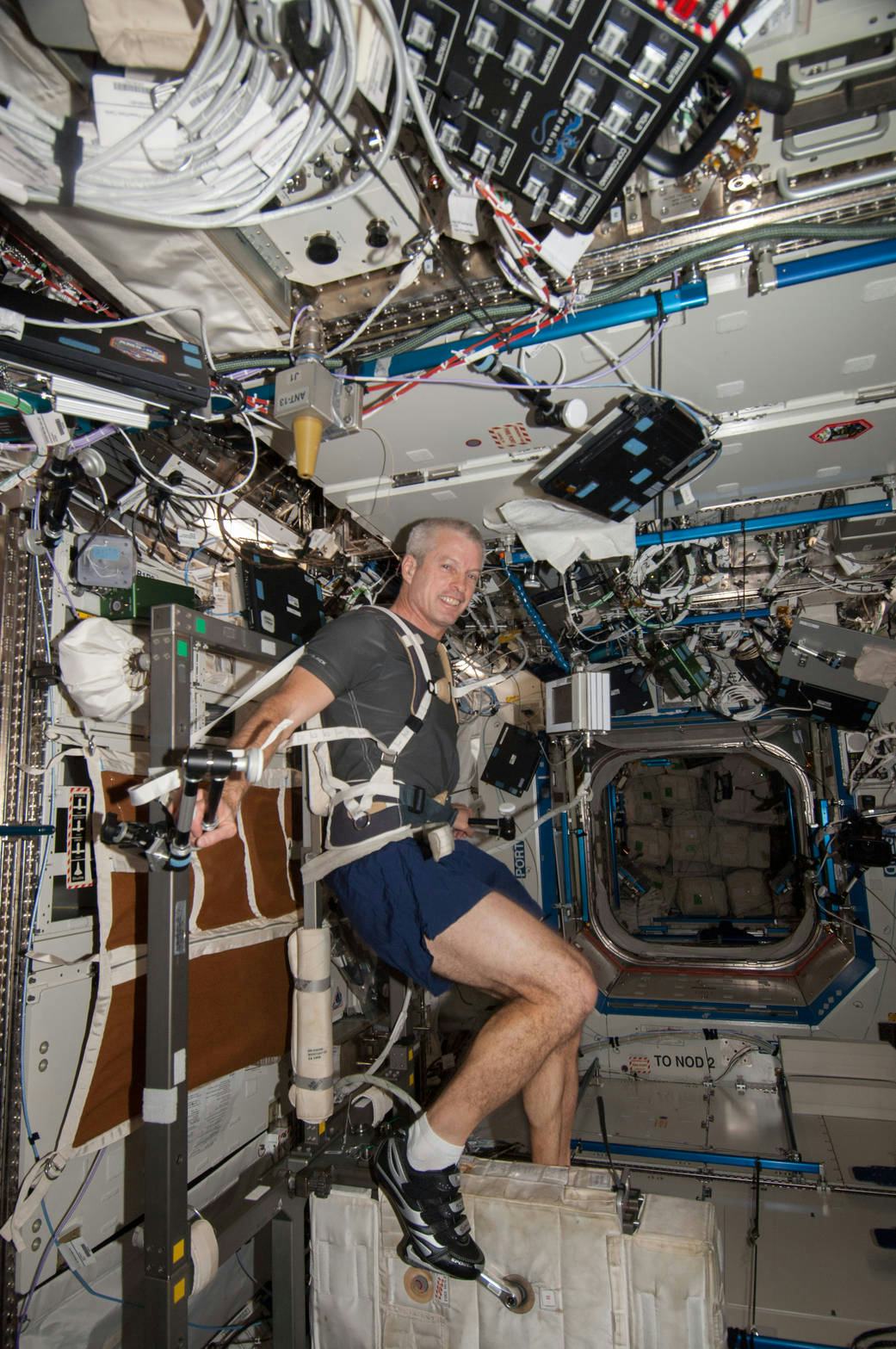 One biological molecule may explain why space affects astronauts' health