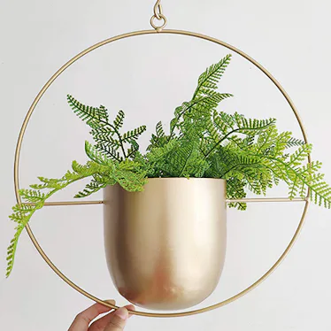 The 8 Best Hanging Planters