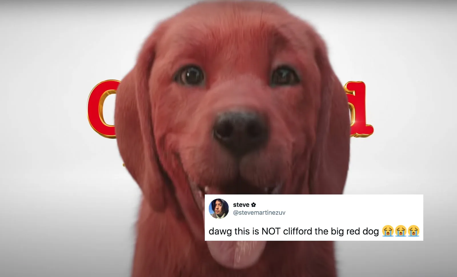 These Tweets About The ‘Clifford The Big Red Dog’ CGI Movie Are So Wild