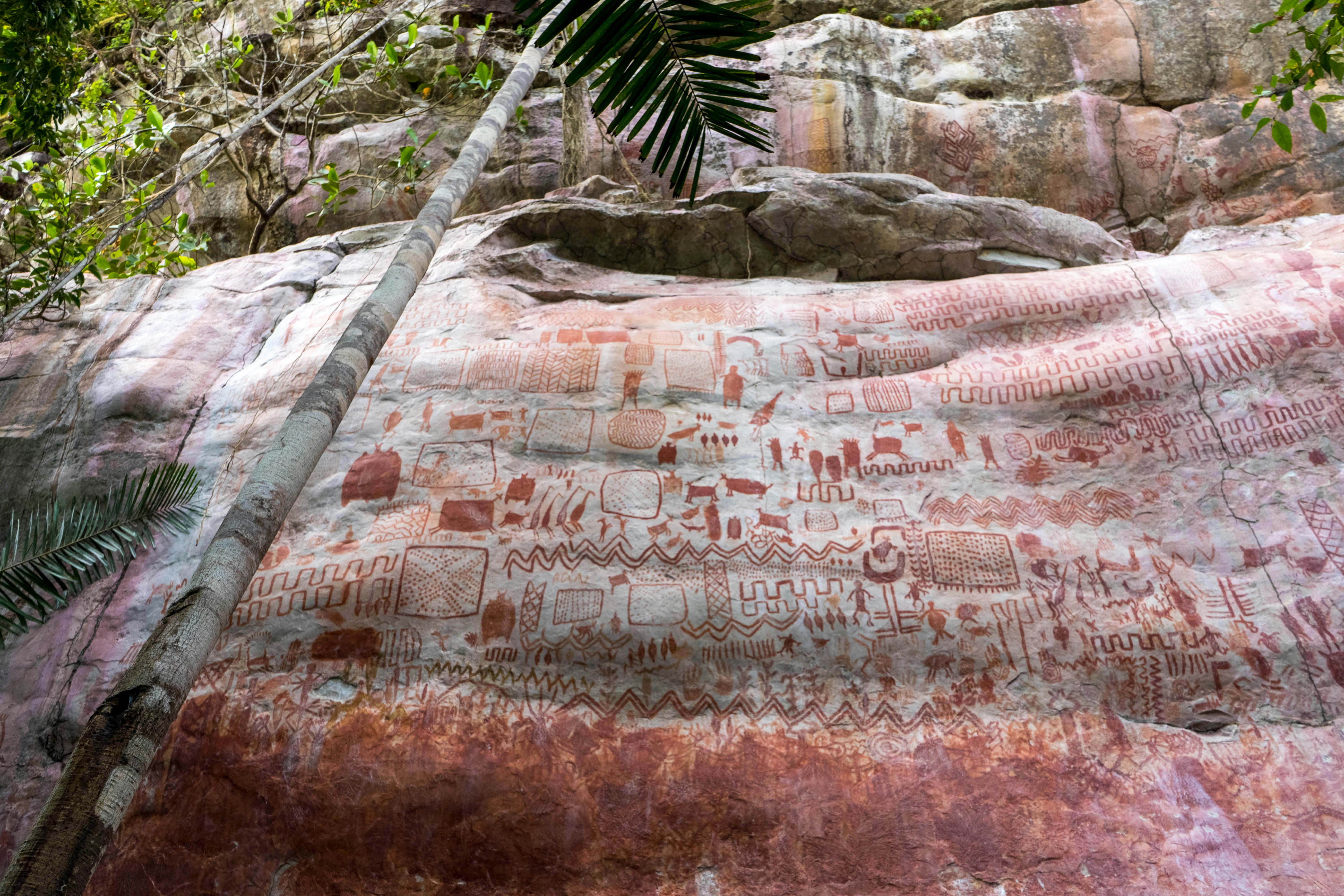 Newly discovered art is an ancient Amazon time machine