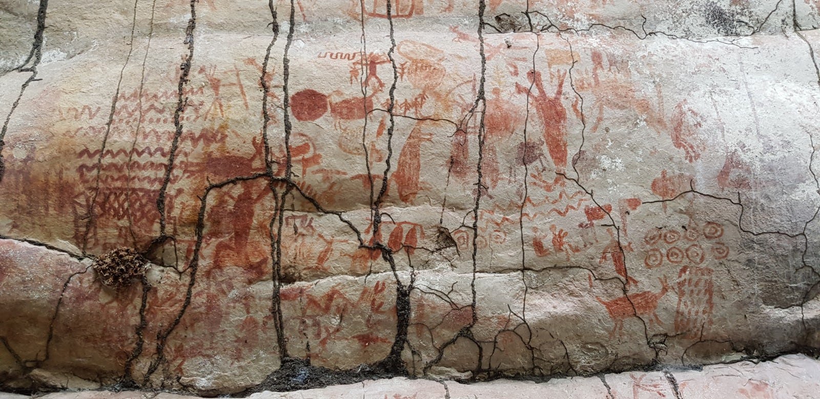 Newly discovered art is an ancient Amazon time machine