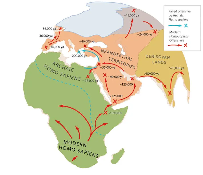 Neanderthals vs. Homo sapiens: Inside the 100,000-year-long battle for ...