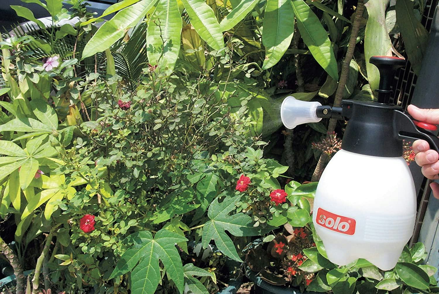 The 5 Best Plant Misters
