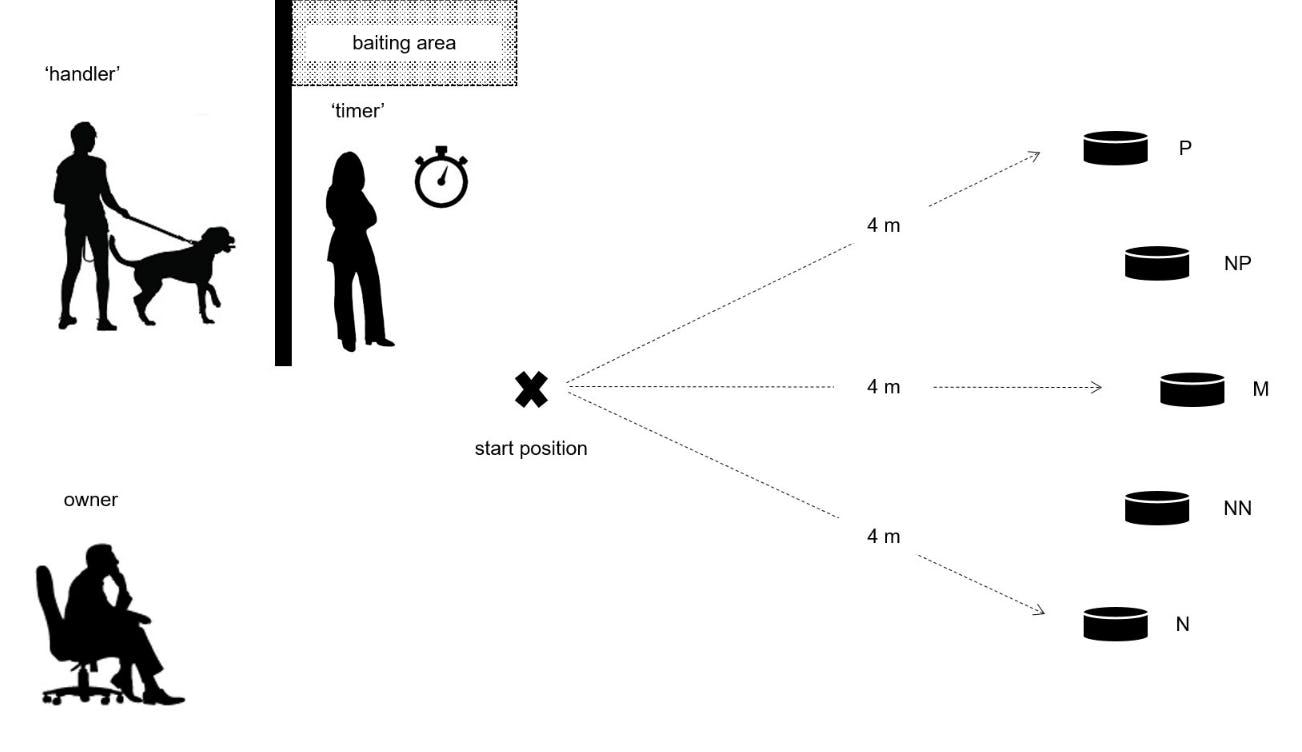 Study reveals the best way to train your dog