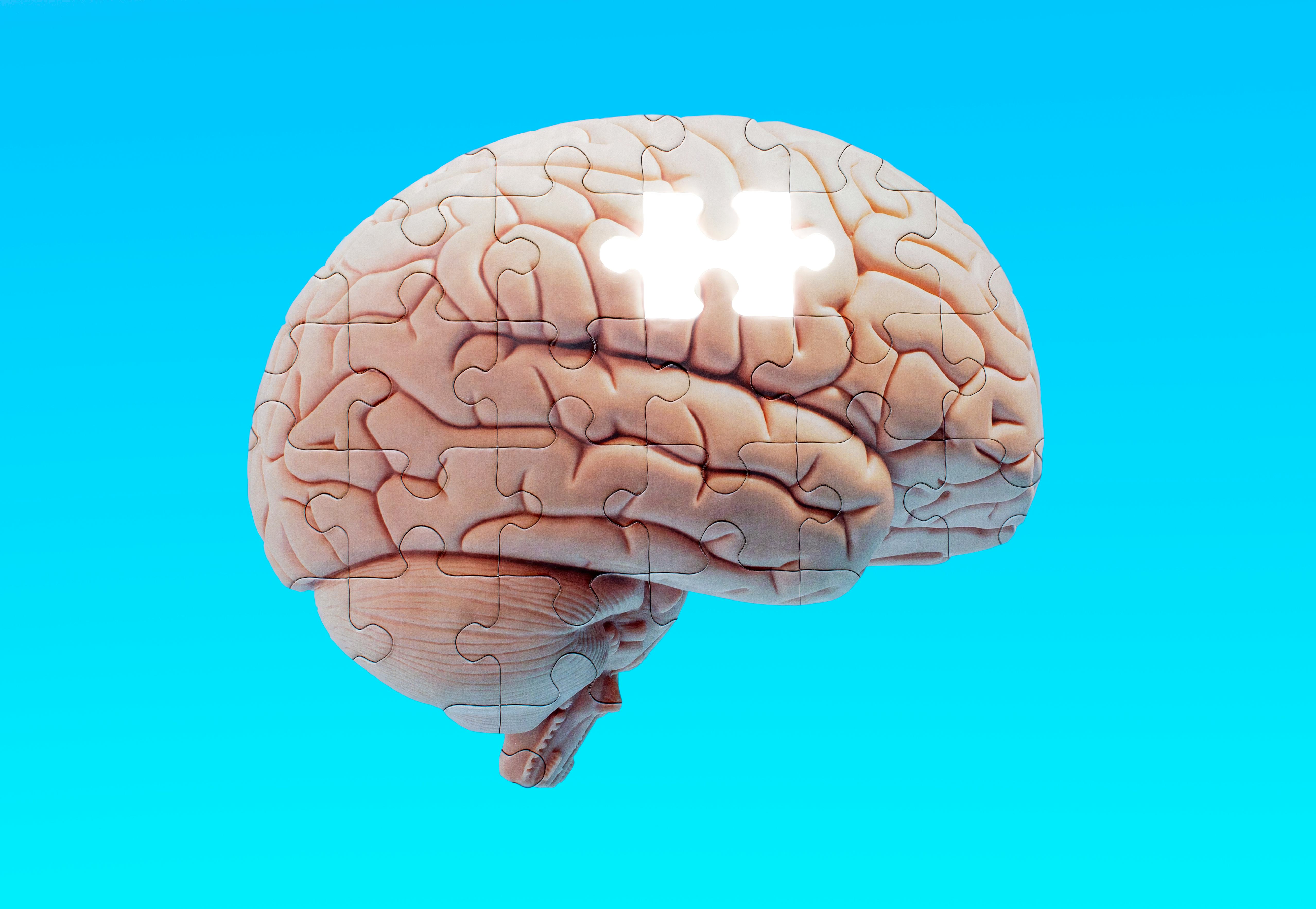 Scientists discover what enables conscious thought and feeling