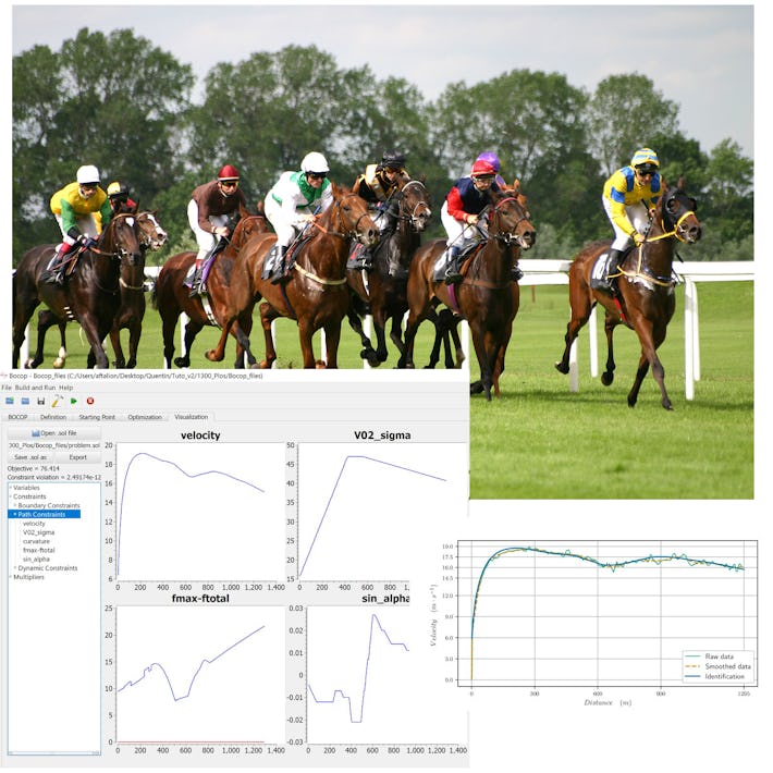 Horse race study reveals the 1 factor trainers and gamblers need to know