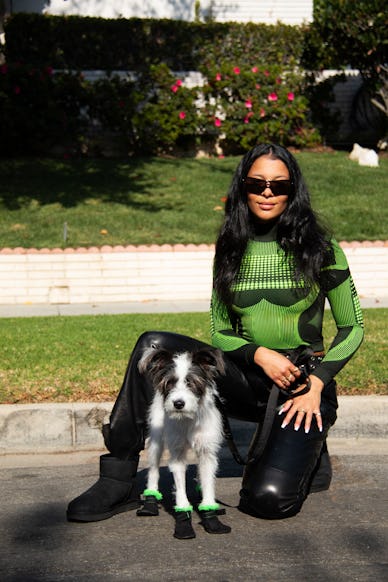 UGG Launches First-Ever Collaboration For Dogs