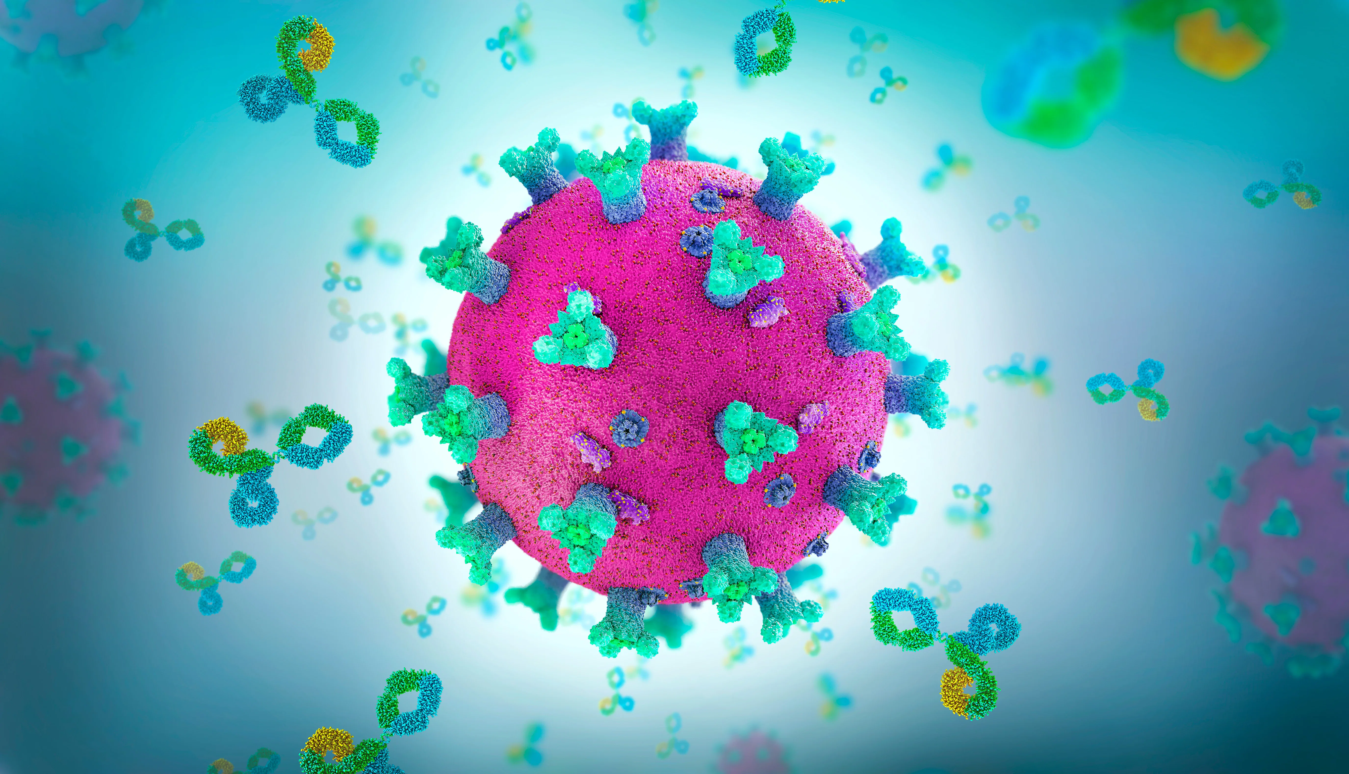 4 smart ways to strengthen your immune system