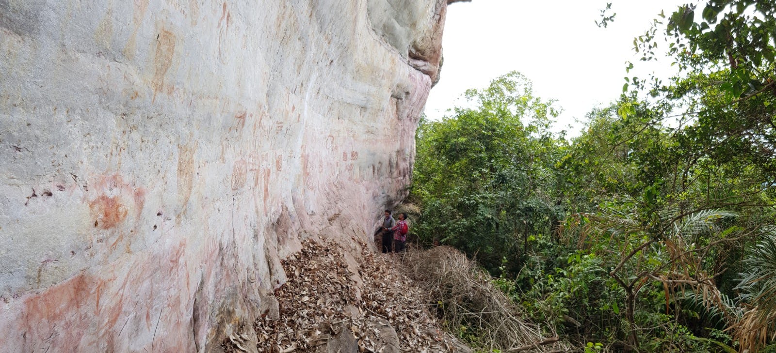 This rock art is a time capsule to an ancient Amazon