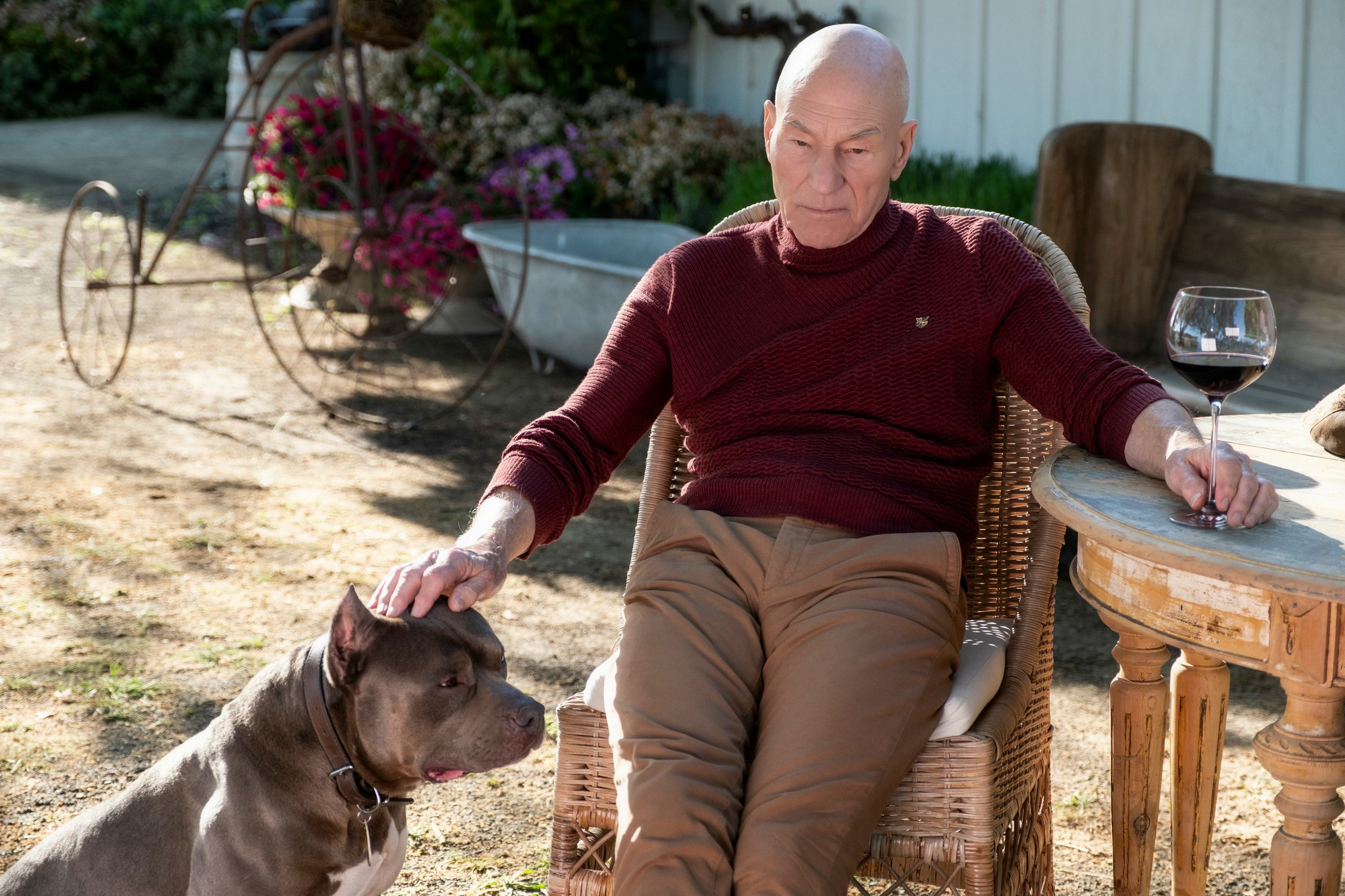 'Star Trek: Picard' theory: 5 clues an android twist is hiding in plain ...