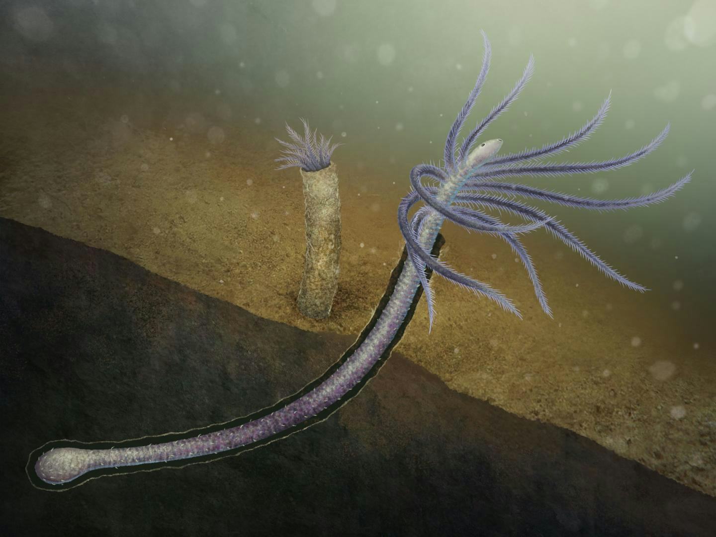 A twist of fate saved humans from sharing Earth with terrifying, limbed ...