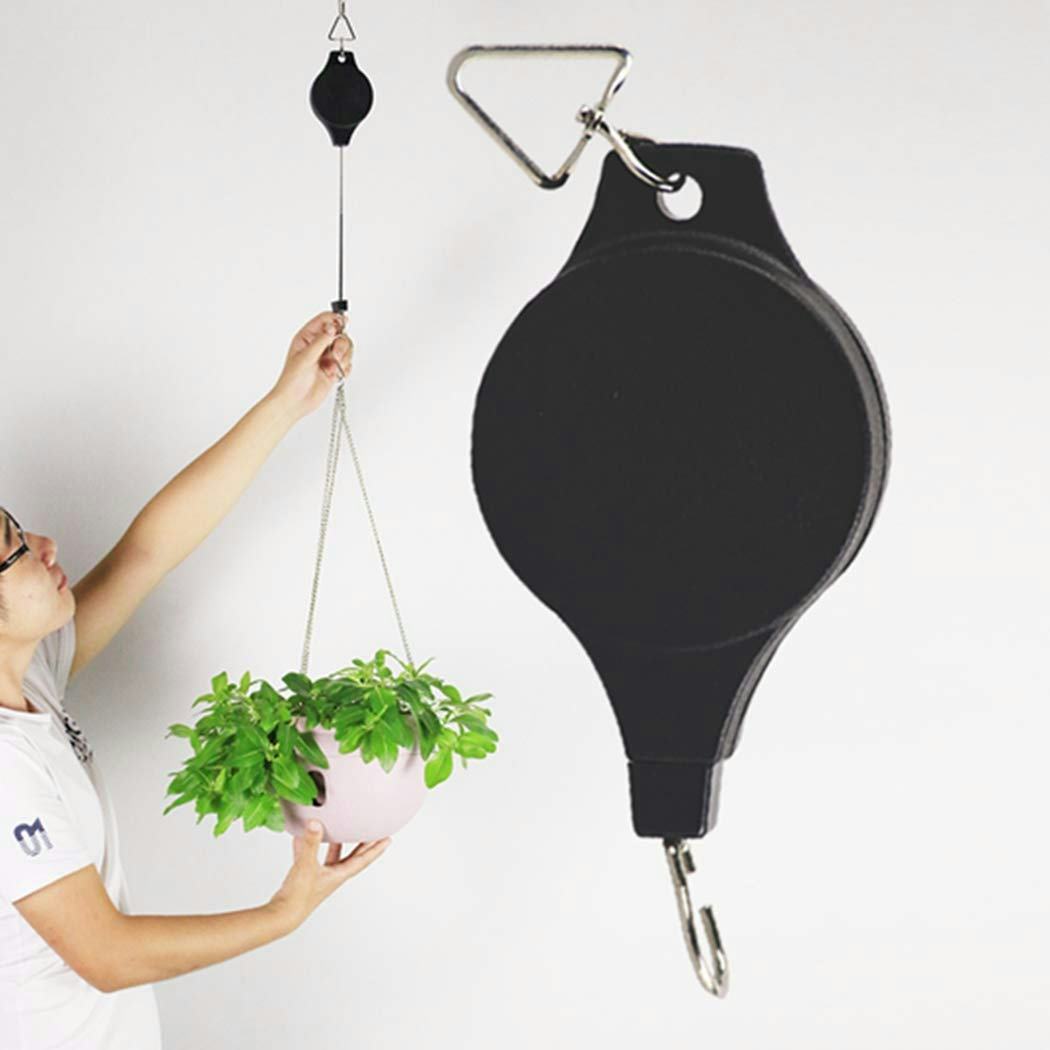 The 9 Best Hooks For Hanging Plants In 2022