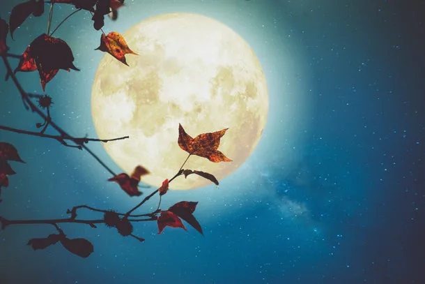 The February 2020 Supermoon Will Be The Best For These Zodiac Signs