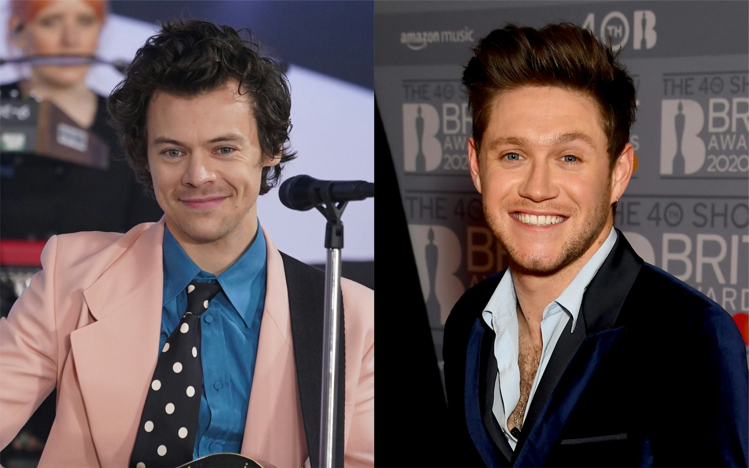 Harry Styles & Niall Horan's Album Lyrics Have A Connection That Has ...