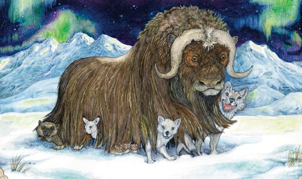 Jan Brett Has A Sneak Preview Of Her New Book 'Cozy'