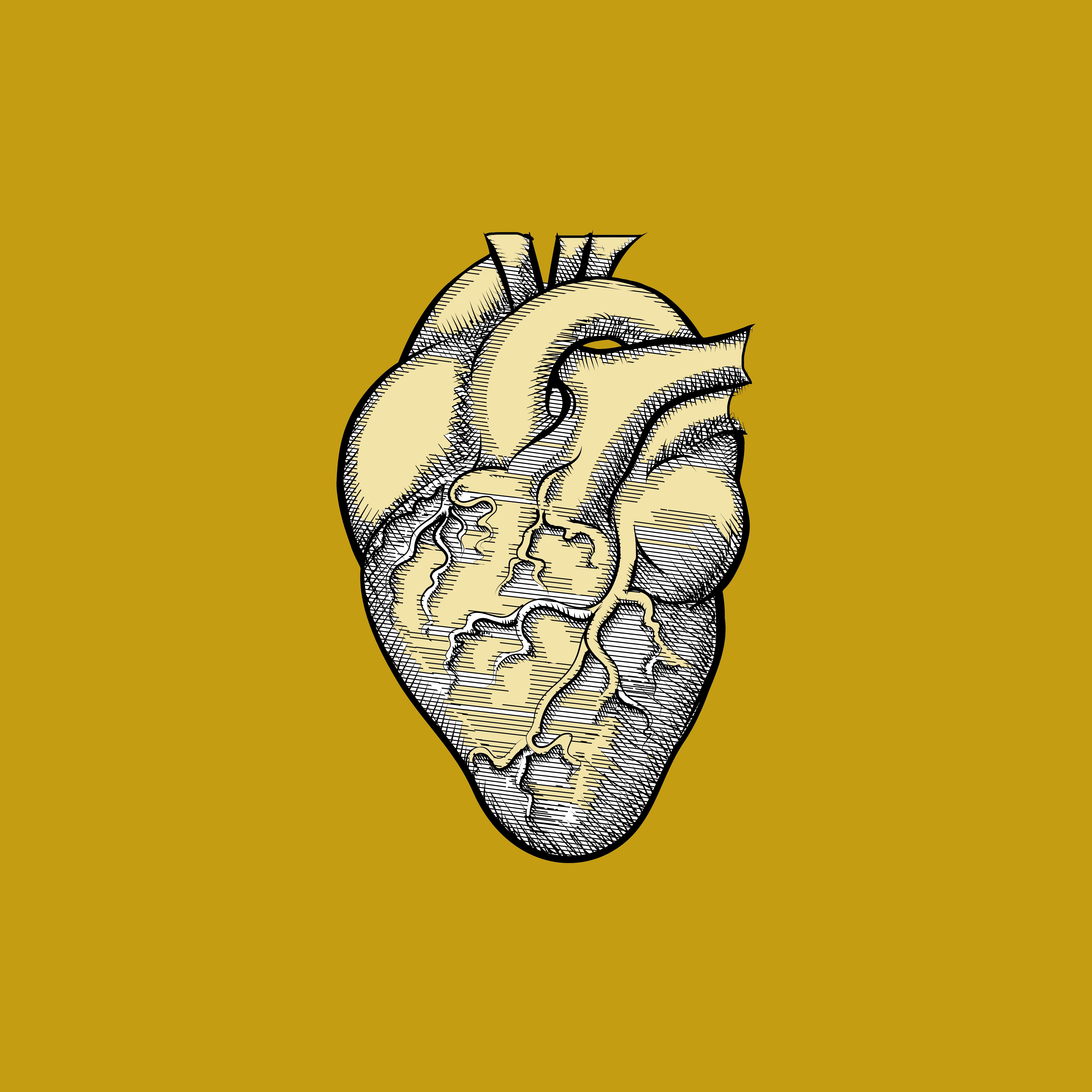 Organ transplants of the past claim a strange history worth reading about