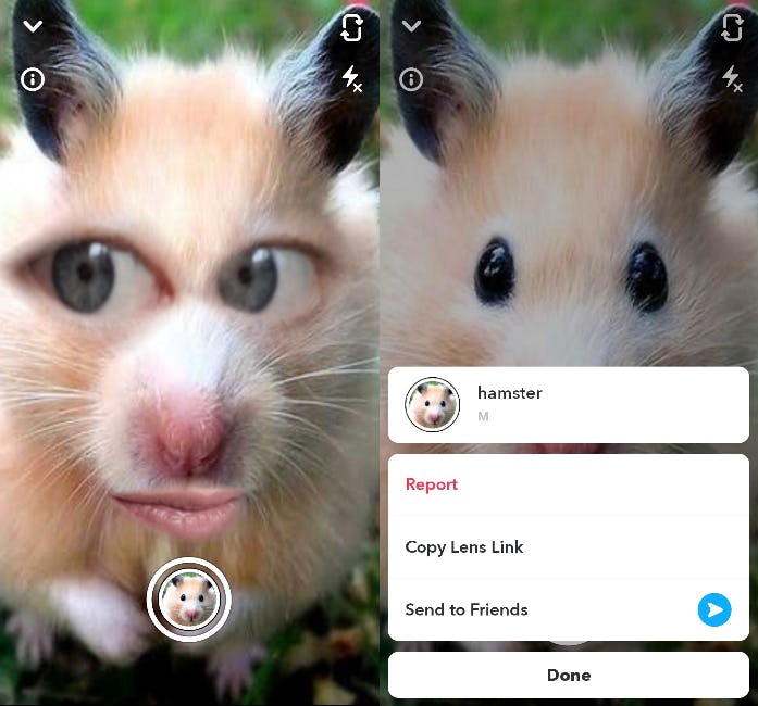 These 10 Animal Face Filters On Snapchat Will Liven Up Your Story