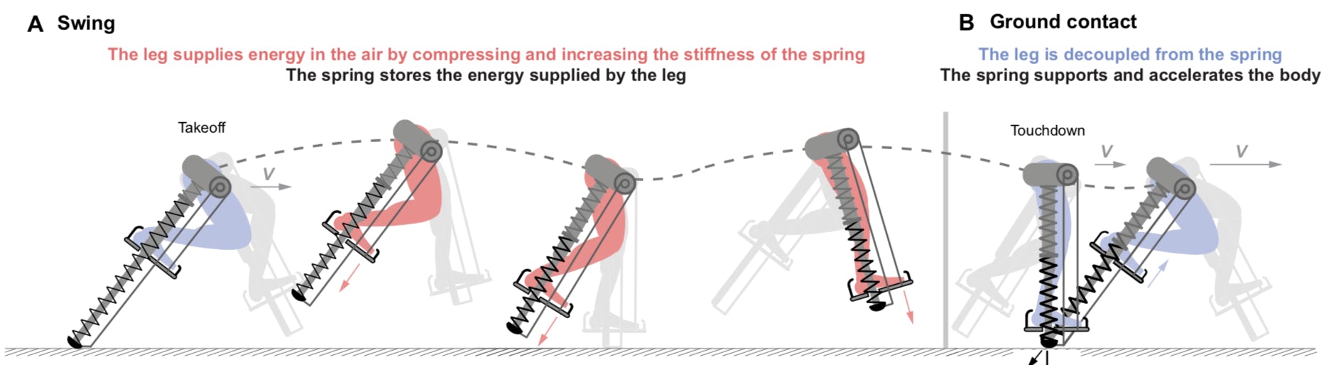 Extremely steampunk leg attachments could let humans run 46 miles per hour