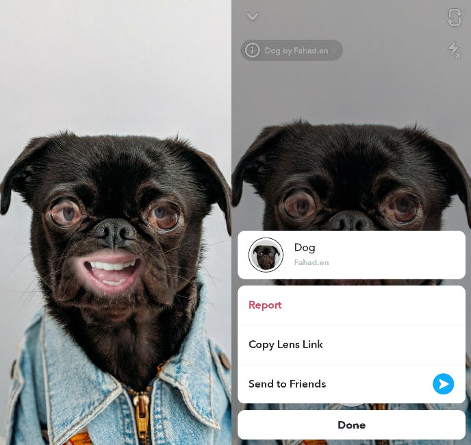 These 10 Animal Face Filters On Snapchat Will Liven Up Your Story