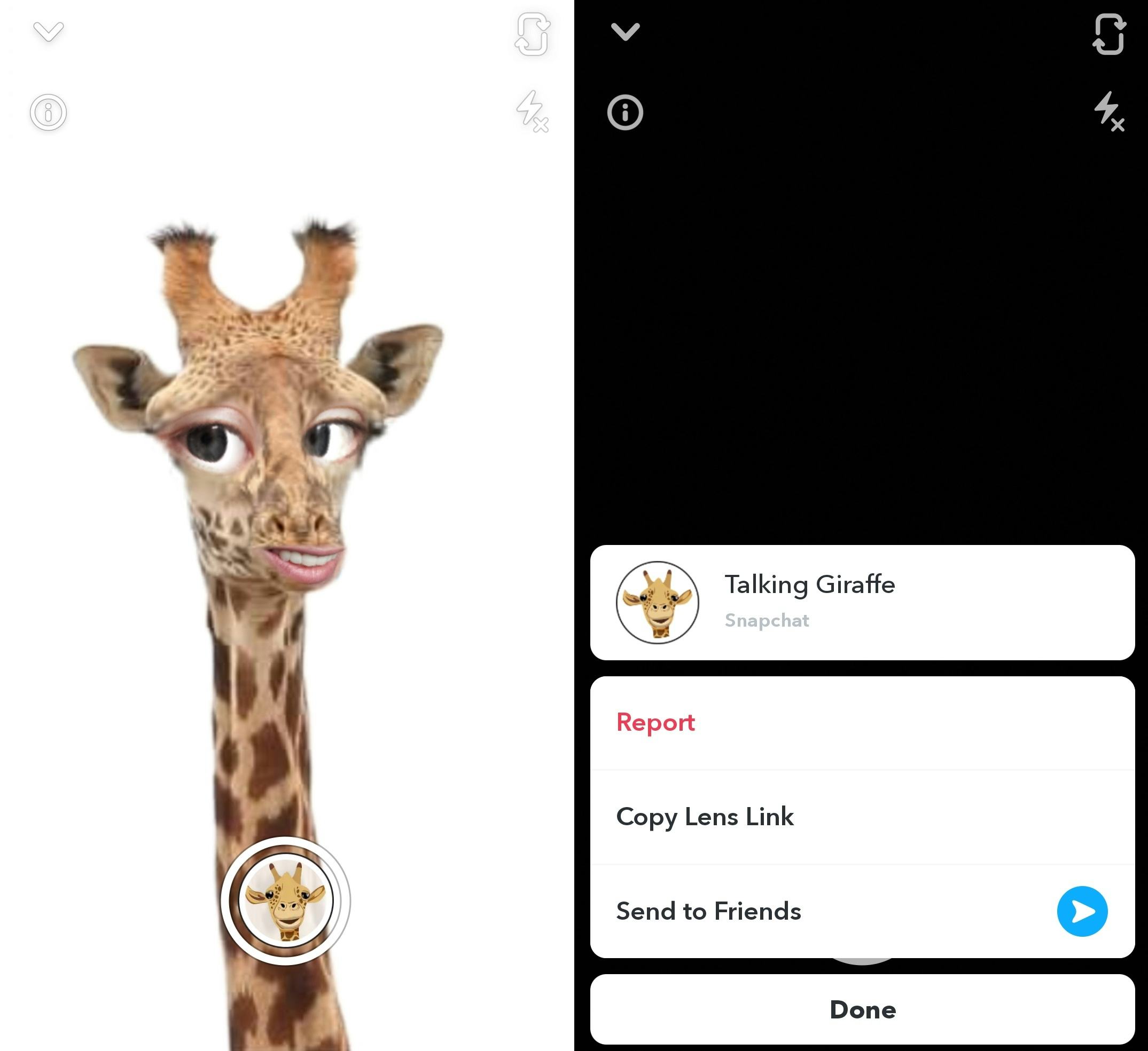 These 10 Animal Face Filters On Snapchat Will Liven Up Your Story