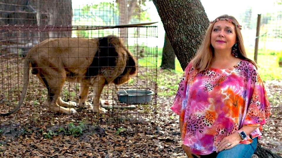 Kate McKinnon Tiger King series: Carole Baskin response could change 3 ...