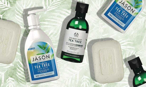 The 3 Best Tea Tree Body Washes