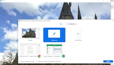 Here's How To Use Whiteboard On Zoom To Get More Out Of Your Video Calls