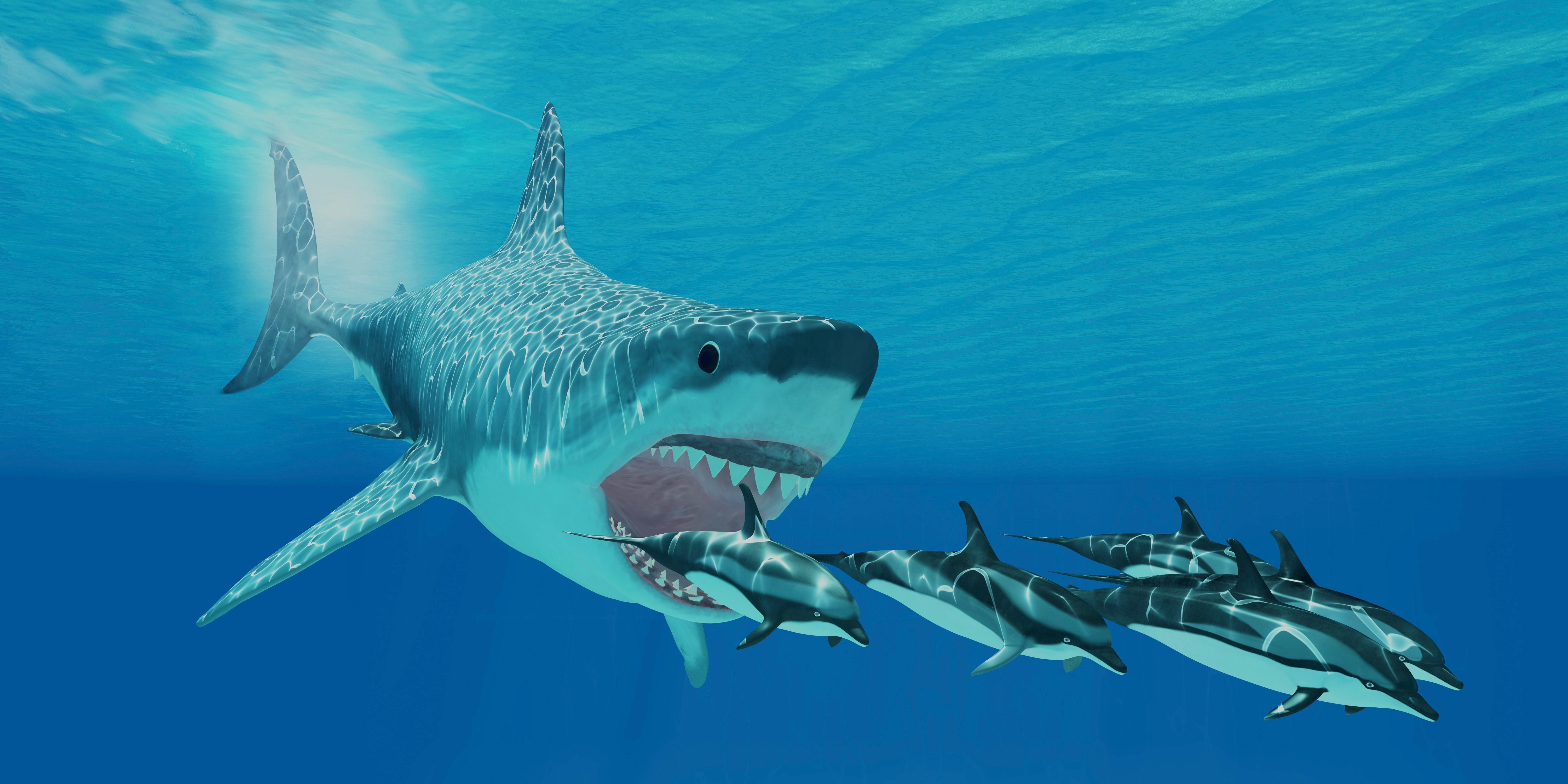 Massive, prehistoric sharks' weird evolution led to their demise