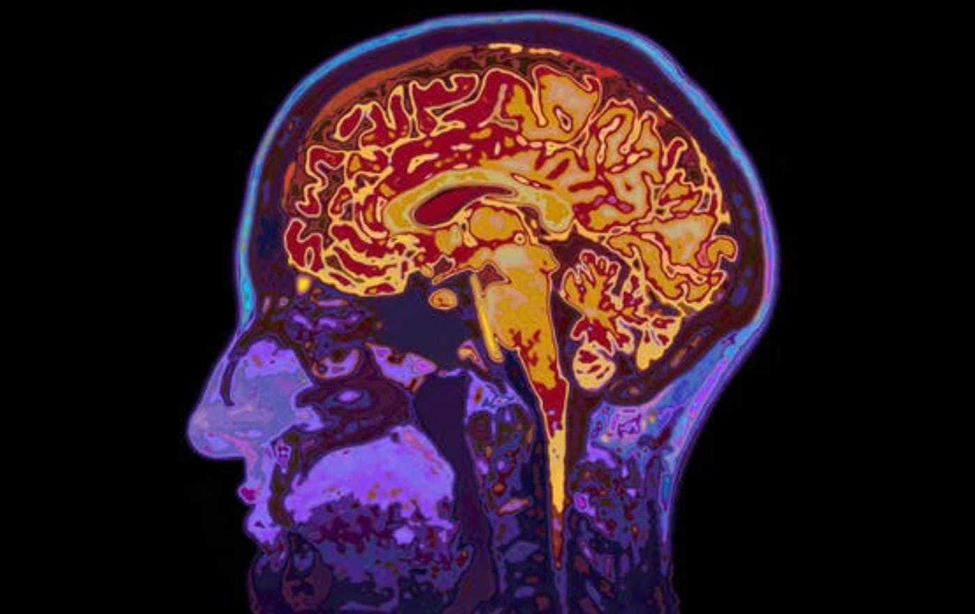 Studies show technology can treat the lonely brain