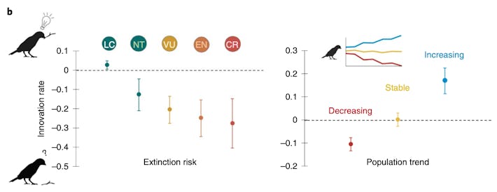 Study of 8,600 species reveals how 5 crafty birds turn adversity into ...